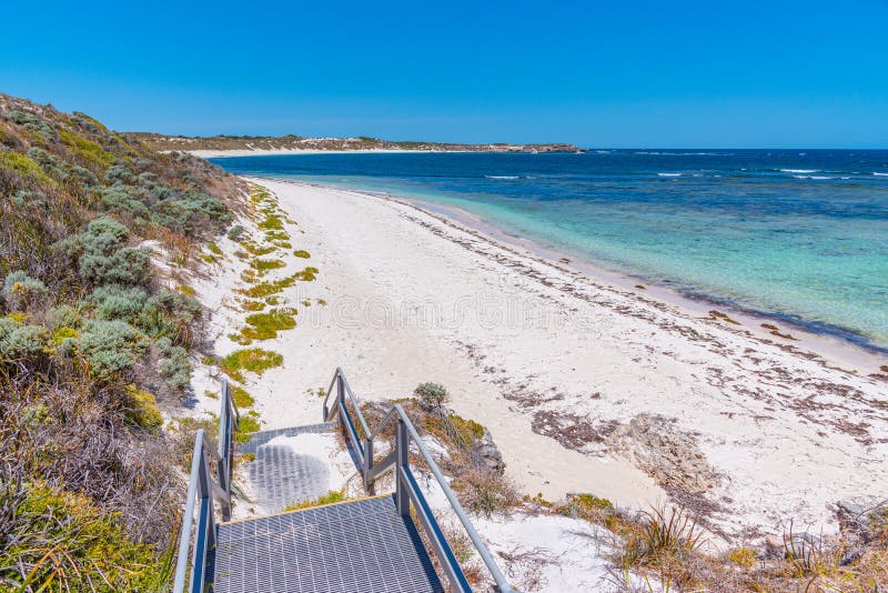 Salmon Bay at Rottnest Island in Australia Stock Photo - Image of ...