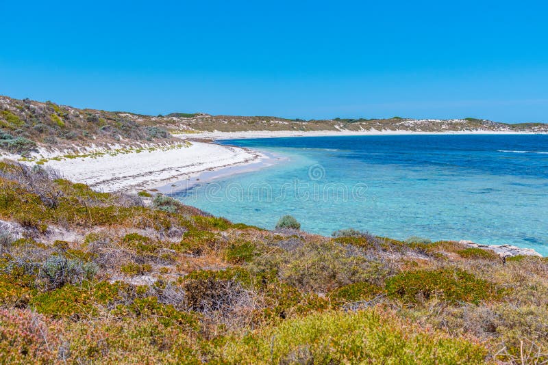 Salmon Bay at Rottnest Island in Australia Stock Image - Image of ...