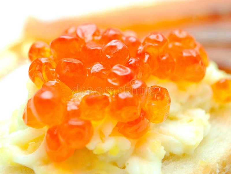 Salmon caviar stock image. Image of caviar, meat, salmon - 9200963