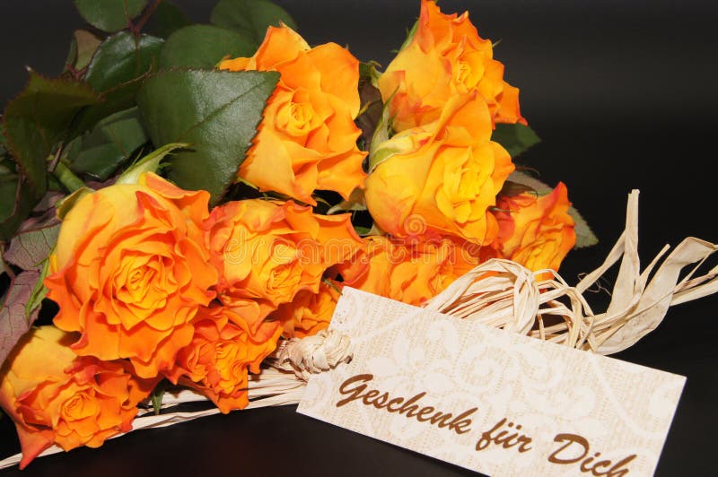 Salmon-colored Roses Released Stock Image - Image of decoration ...