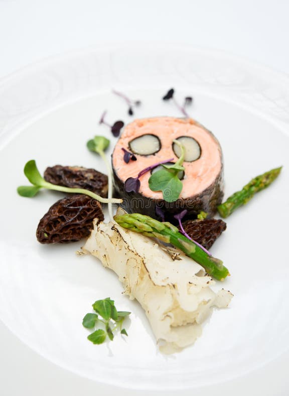 Salmon dish with morels stock image. Image of morel, fish - 25128655