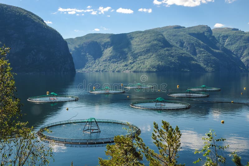 A Salmon Farm In A Fjord In Norway Stock Image - Image: 25789971