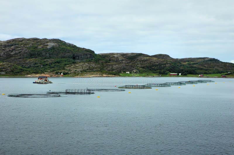 A Salmon Ladder at Loch More, Caithness, Scotland, U.k Stock Photo ...