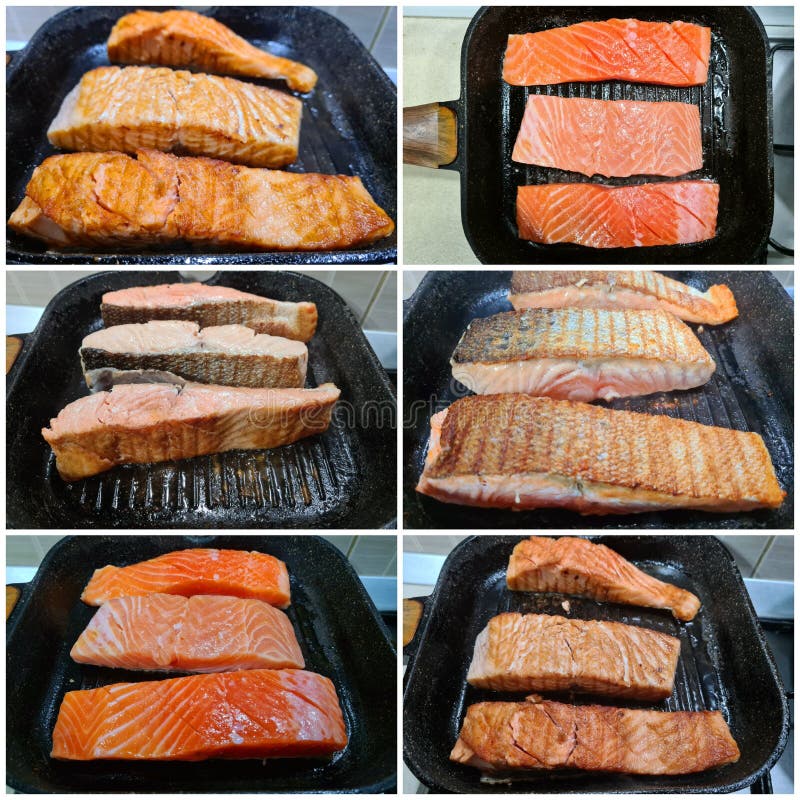 Salmon Fillet Fresh Fish Cooked Grill Pan Collage Stock Photo - Image ...