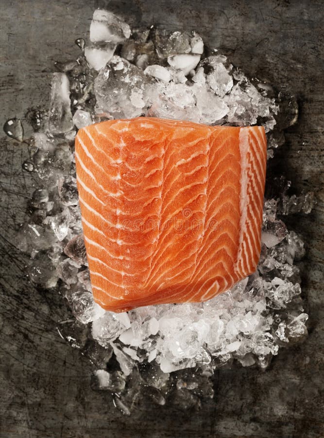Salmon Fillet on Ice stock image. Image of fish, herb - 74958051