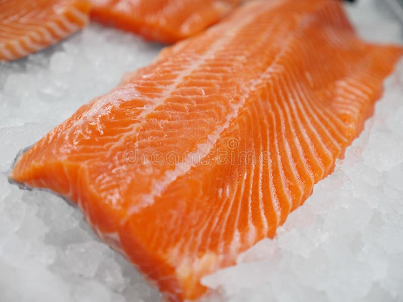 Salmon fillet on ice stock image. Image of market, fillet - 55698869