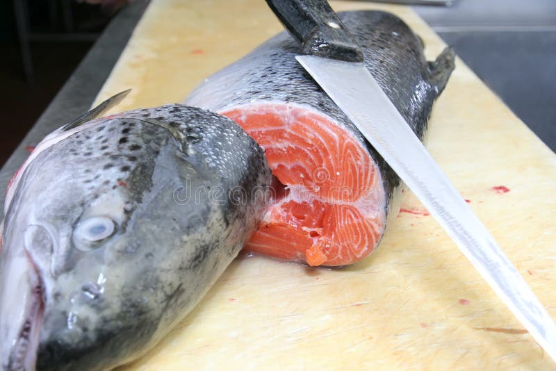 Salmon fish stock image. Image of industry, cooking, food - 7466615