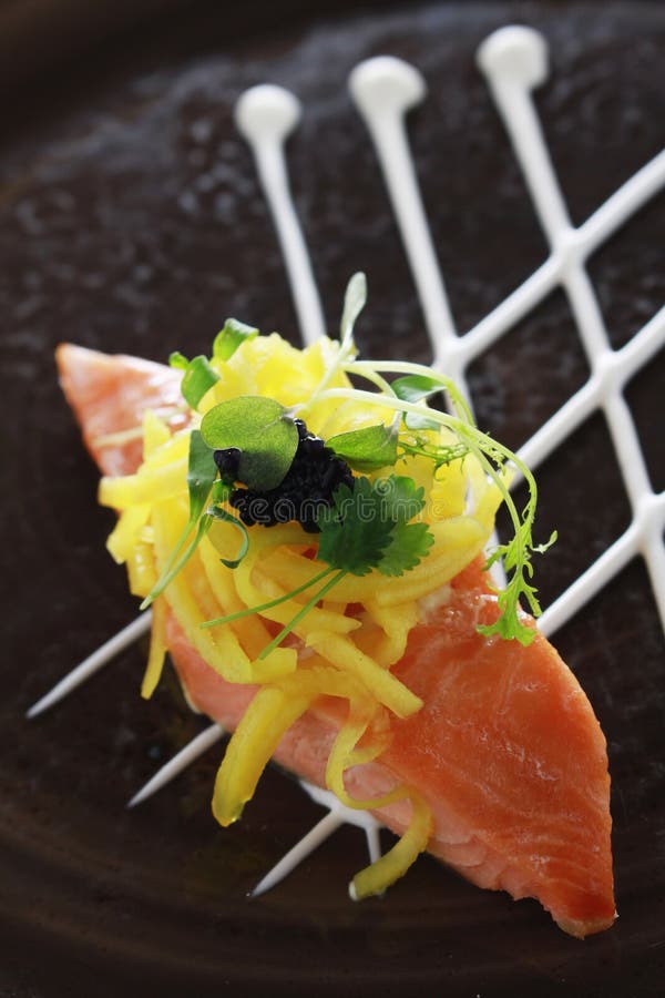 Salmon fish appetizer stock image. Image of smoked, mealmeal - 63564557