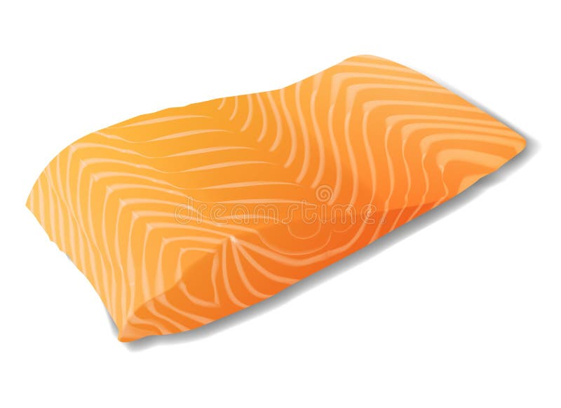 Salmon Fish Fillet Realistic Vector Illustration Isolated on White ...
