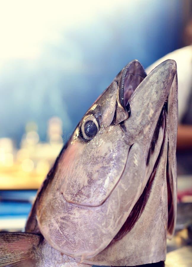 Salmon Fish Head, Head of Salmon, Norwegian Salmon Fish Stock Photo ...