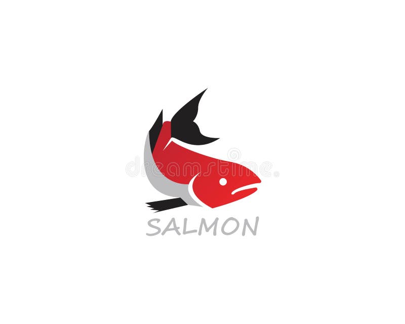 Salmon Fish Logo Design Vector on White Background Stock Illustration ...