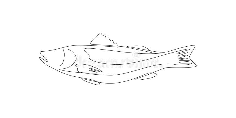 Salmon Fish in One Continuous Line Drawing. Wild Trout in Linear Sketch ...