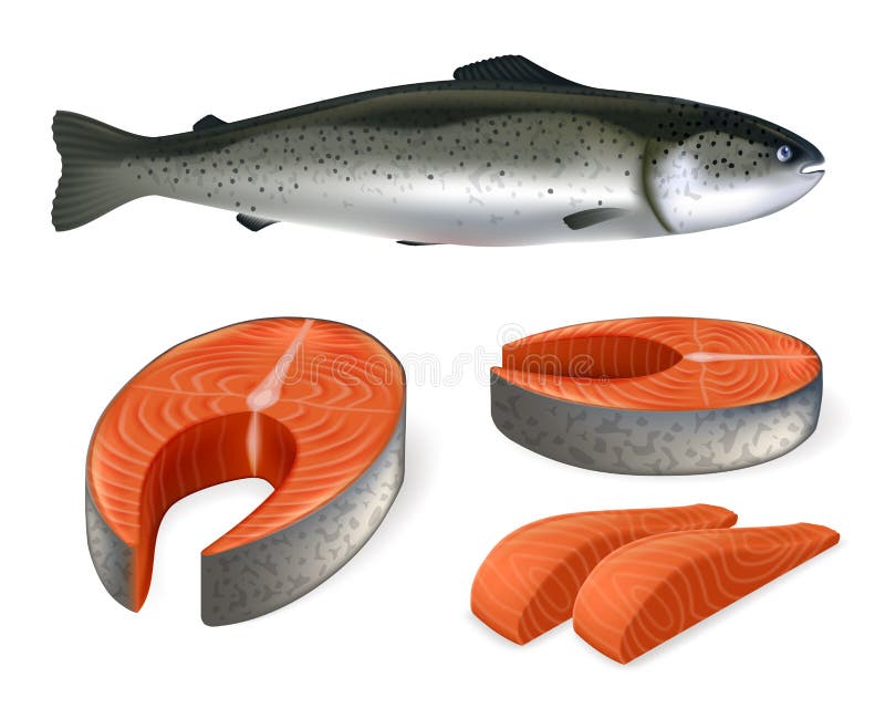 Fresh Salmon Red Fish Slices Stock Vector - Illustration of clip, diet ...