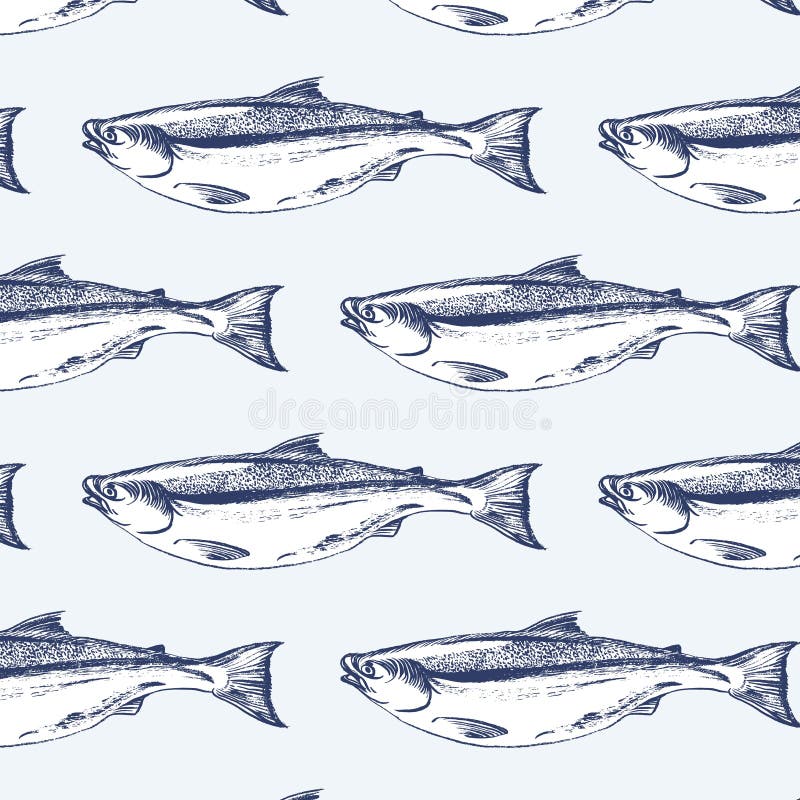 Salmon Fish Seamless Pattern Stock Vector - Illustration of hand ...