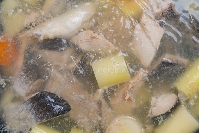 Salmon Fish Soup is Cooked in Boiling Water. Culinary Background with ...