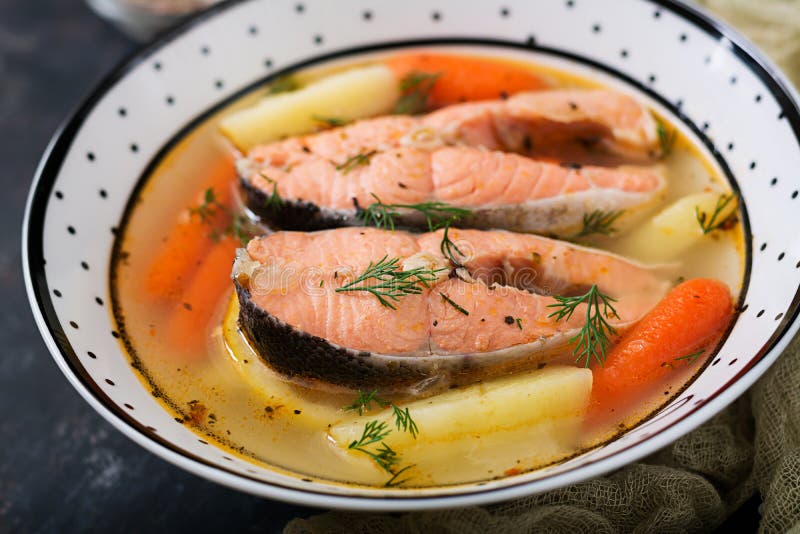Salmon fish soup stock image. Image of flat, seafood - 103058977