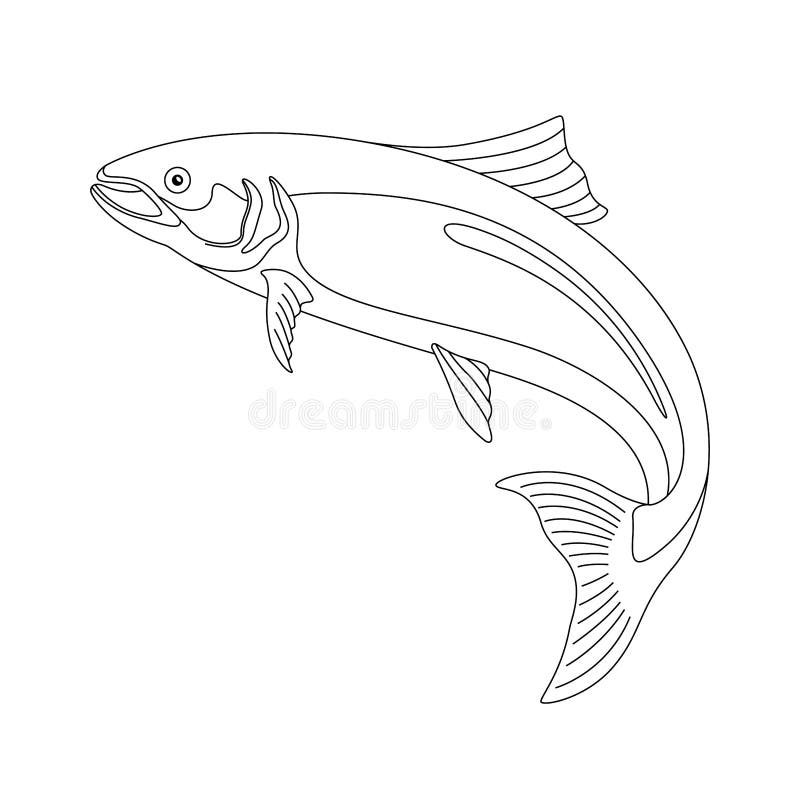 Salmon Fish Vector Line Art Illustration Stock Vector - Illustration of ...