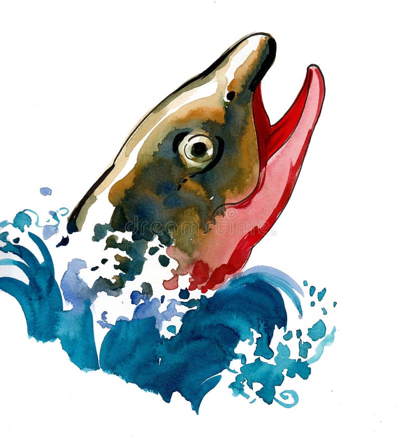 Salmon fish in water stock illustration. Illustration of water - 265083751
