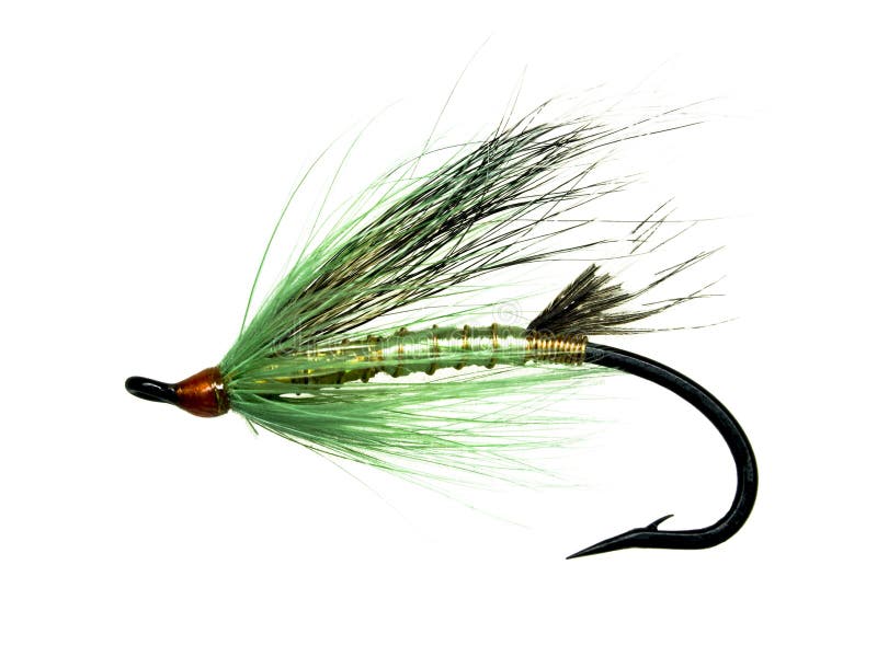 Salmon fly stock photo. Image of hair, wing, barb, pest - 5012490