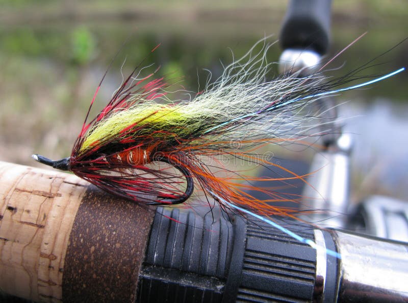 Fly Fish Hooks stock photo. Image of flies, hooks, fish - 1714310