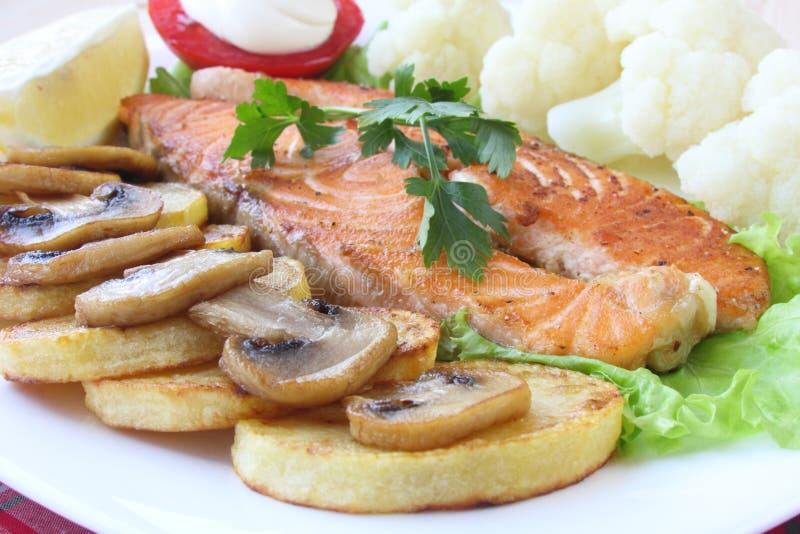 Salmon with garnish stock photo. Image of main, piece - 20516904