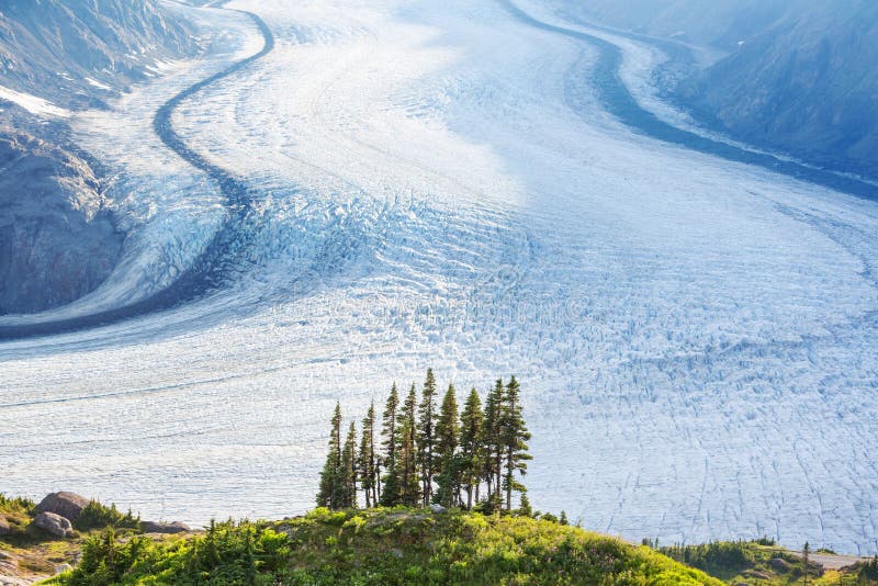 Salmon glacier stock photo. Image of lonely, alaska - 139600820