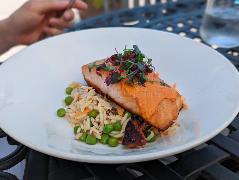 Salmon Grill Crispy Over Rice Stock Photo - Image of vegetable, dinner ...