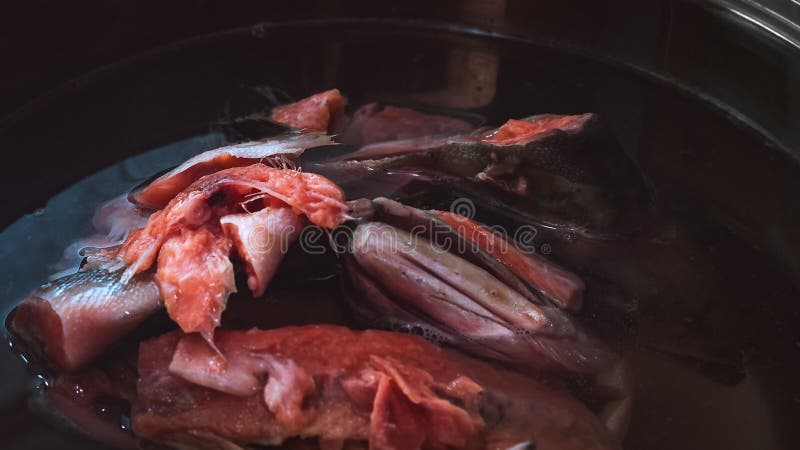 Salmon Head and Frame in a Metal Pan before Boiling. Preparing Salmon ...