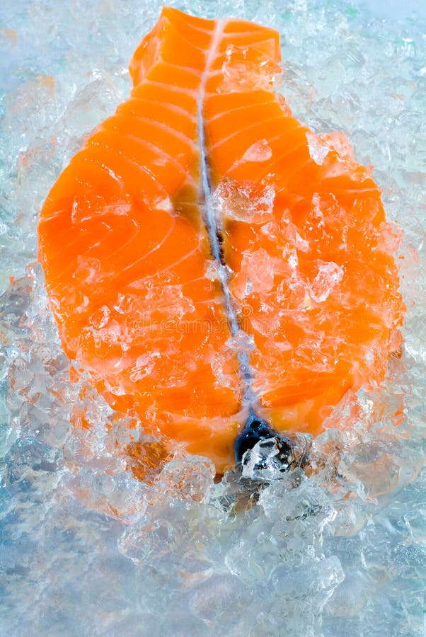Salmon in ice stock photo. Image of presentation, chinook - 2661338