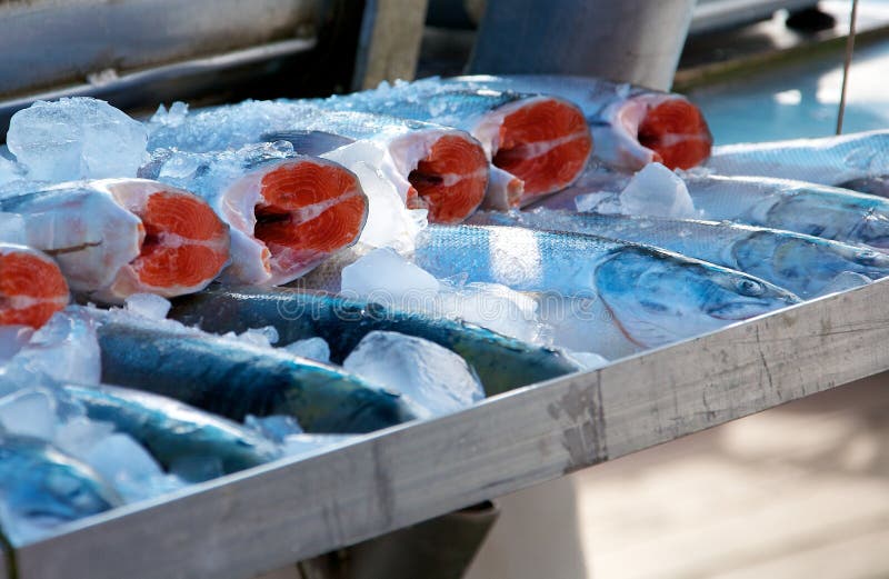 Salmon at market stock image. Image of closeup, fish - 20798233