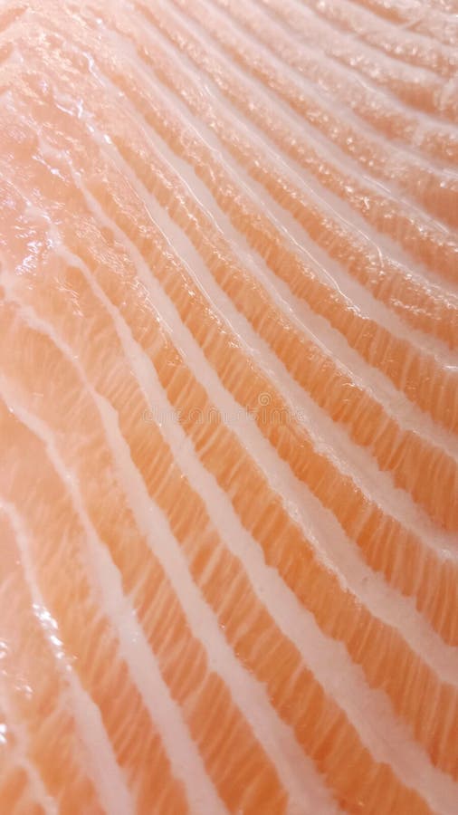 Salmon Meat Has a Unique Pattern. Stock Photo - Image of unique ...