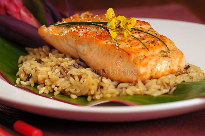 Salmon on rice stock photo. Image of dinner, chives, salmon - 7369388