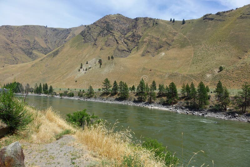 Salmon River at Riggins, Idaho Stock Photo - Image of landscape, trees ...