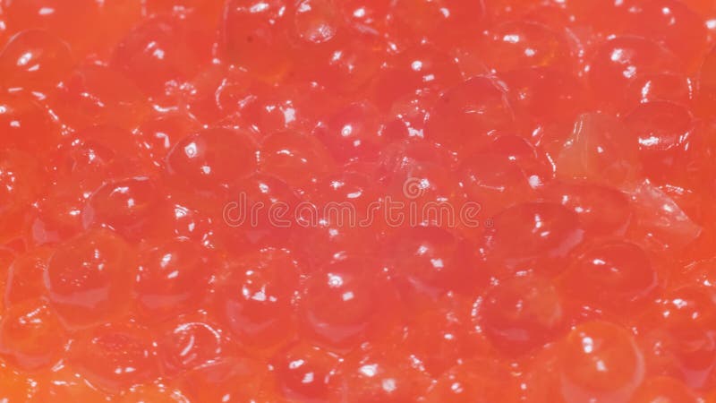 Salmon Roe Rotates in a Circle. Red Caviar Stock Video - Video of macro ...