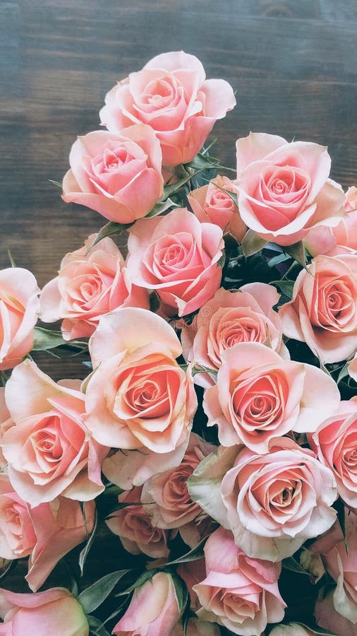 Salmon roses stock image. Image of nigiri, sandwhich - 34272841