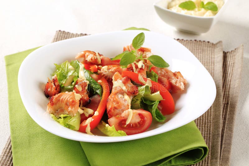 Salmon salad stock image. Image of plate, entree, stir - 20715675