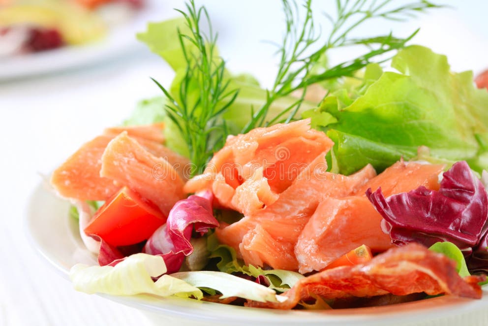 Salmon salad stock photo. Image of bacon, radicchio, rasher - 26876132