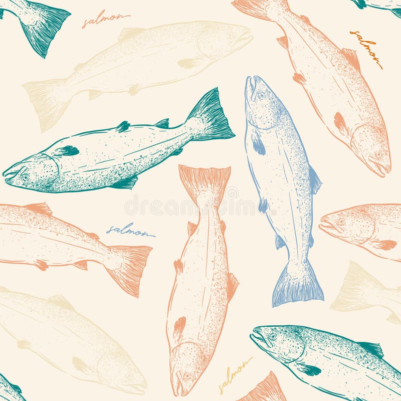 Salmon,seamless Pattern Sketch Vector. Stock Vector - Illustration of ...