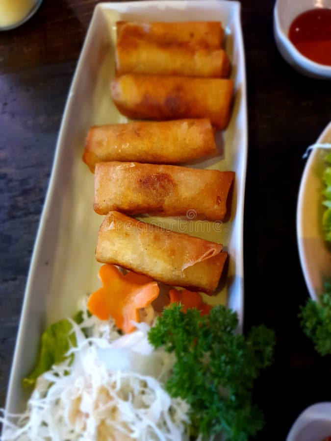 Salmon Spring Rolls stock image. Image of rolls, salmon - 173211387
