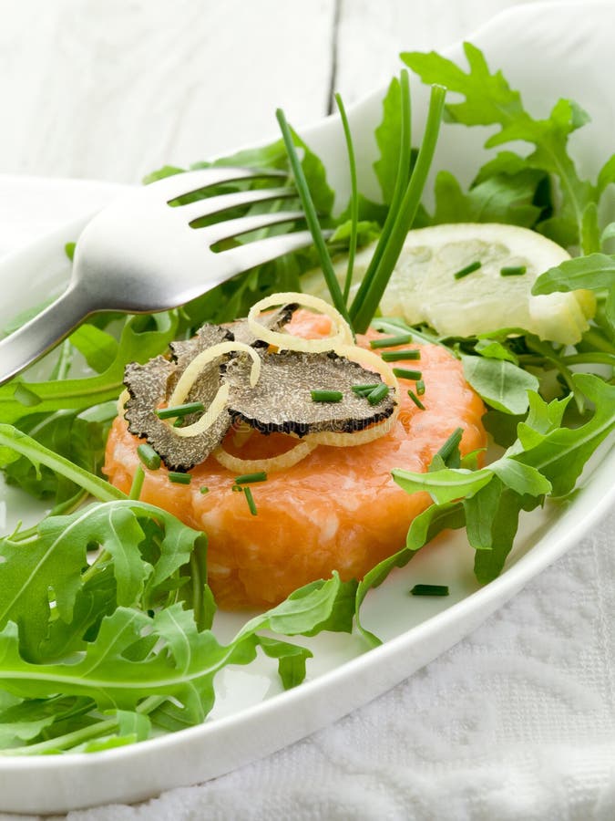 Salmon tartare. stock photo. Image of restaurant, good - 78137500