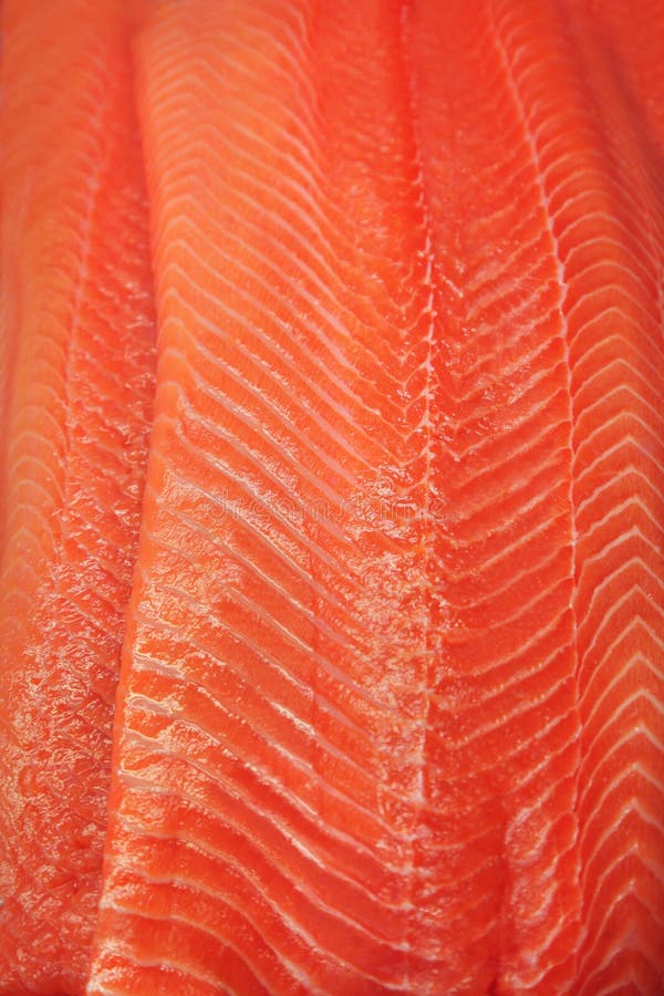91+ Salmon texture Free Stock Photos - StockFreeImages