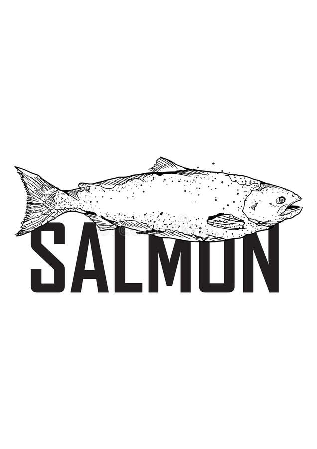Salmon. Vector Illustration Decorative Design Stock Vector ...