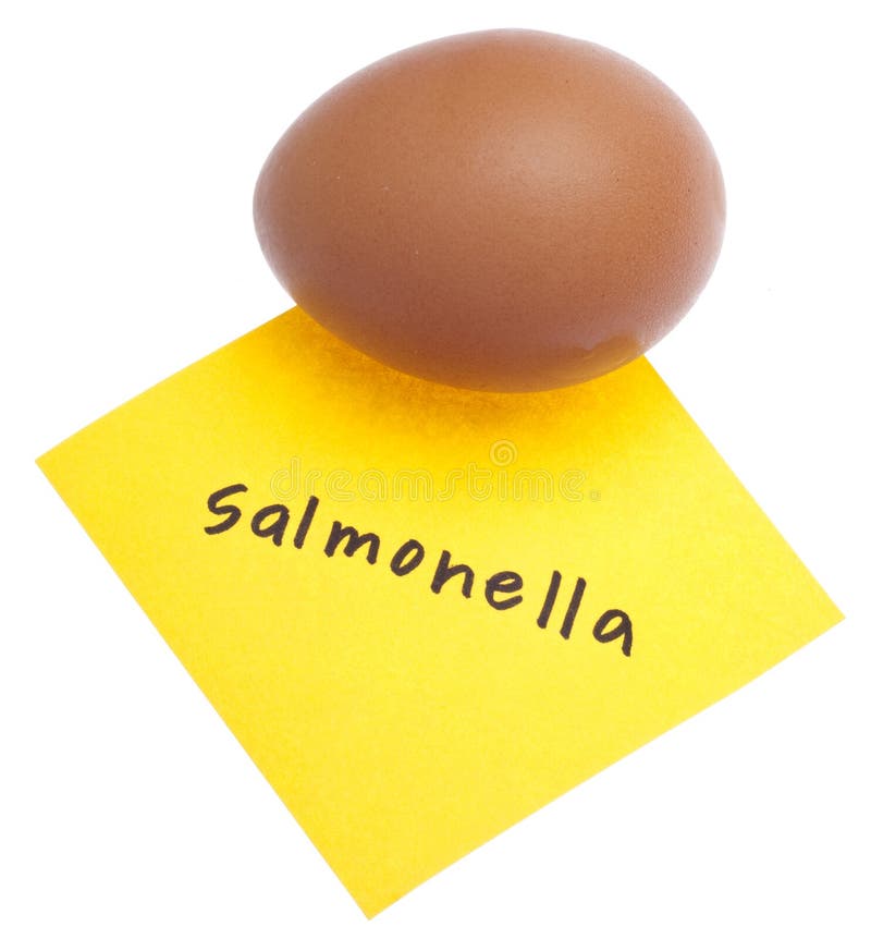 Salmonella Danger Egg stock photo. Image of closeup, shell - 15750020