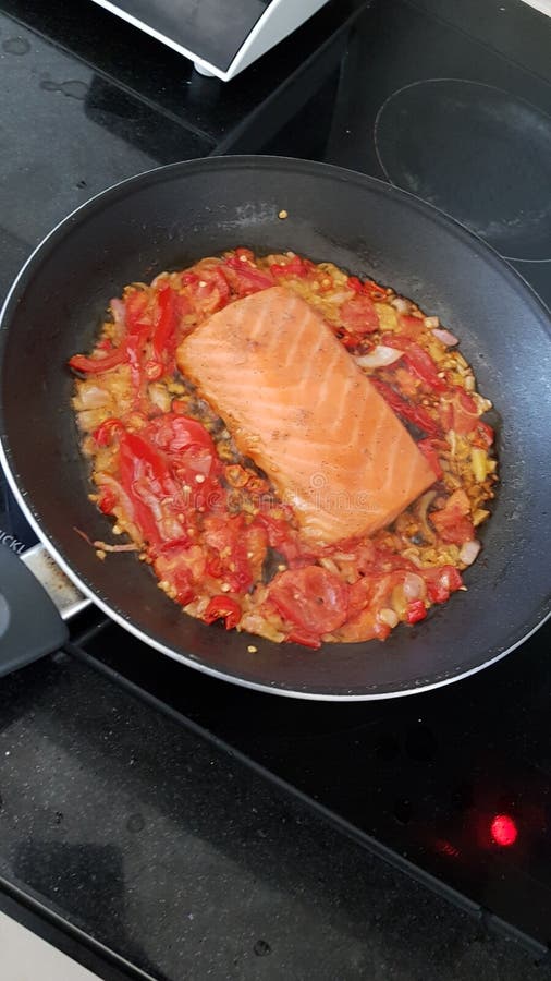 Salmones un rustica del la foto de archivo. Imagen de cebolla - 101244118