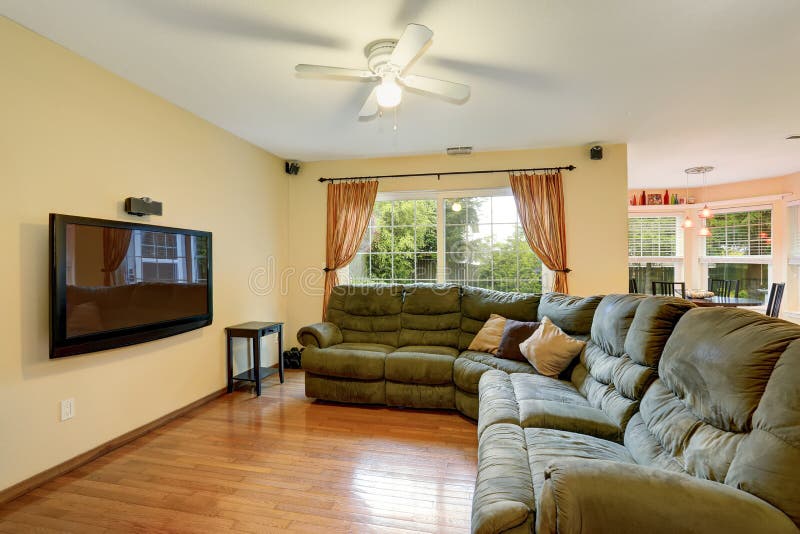 Salon Simple Avec Le Sofa Vert, Et Une TV Image stock - Image du divan ...