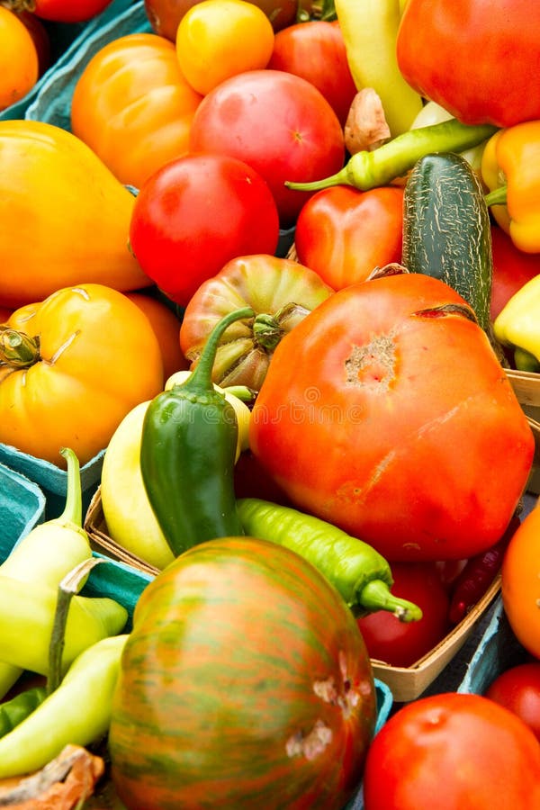 Salsa Baskets stock photo. Image of farm, healthy, squash - 15594950