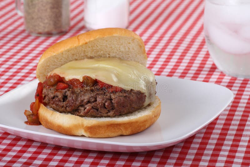 Salsa Burger stock photo. Image of meal, beef, meat, plate - 16395564