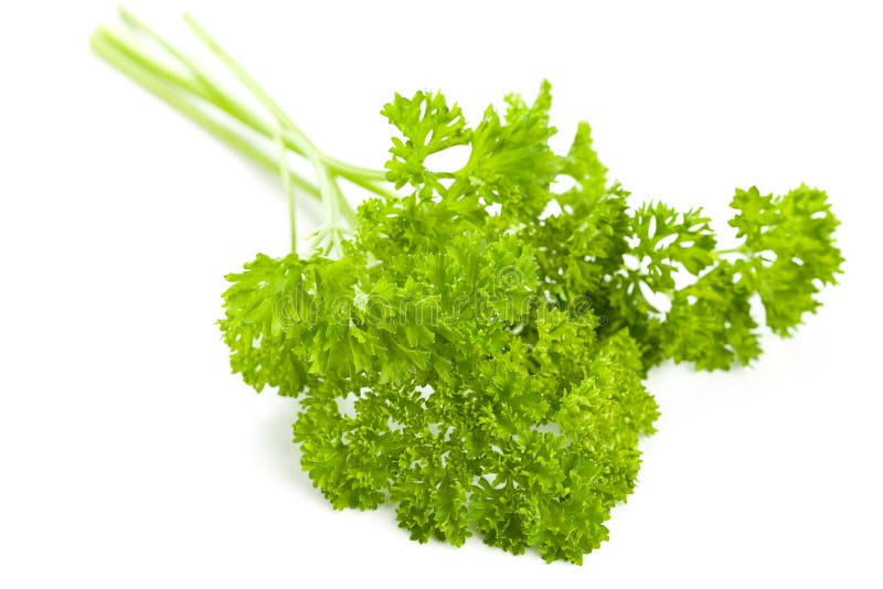 Salsa Curly da folha imagem de stock. Imagem de ingrediente - 27132169