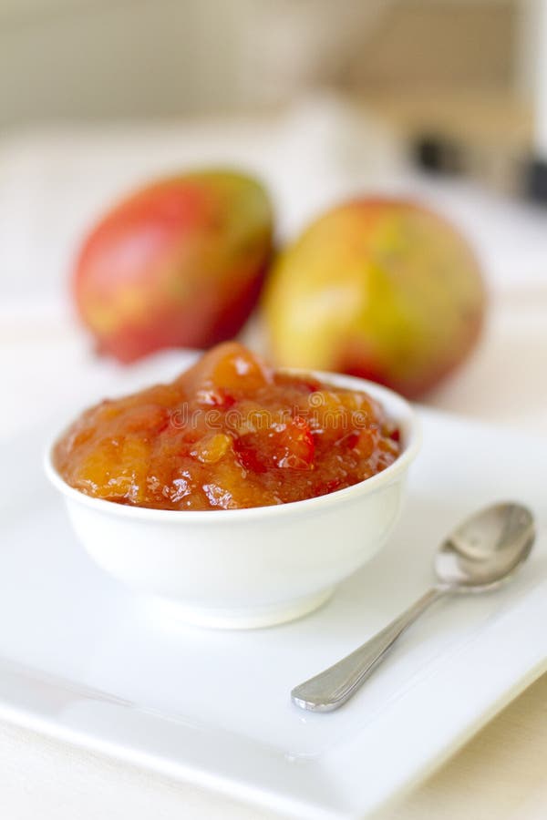 Salsa picante del mango imagen de archivo. Imagen de blanco - 30363571