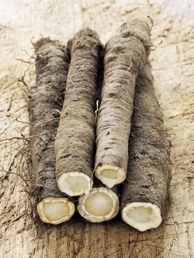 Salsify stock photo. Image of salsify, classical, ingredient - 23703898